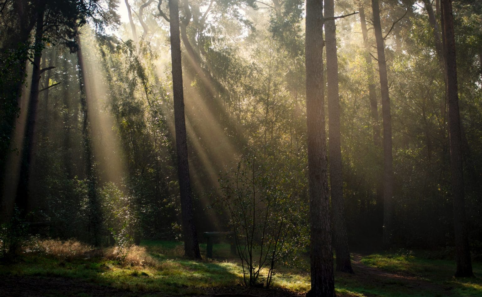 Epic Guide to Cinematic Lighting for Filmmaking | Film Lighting Essentials