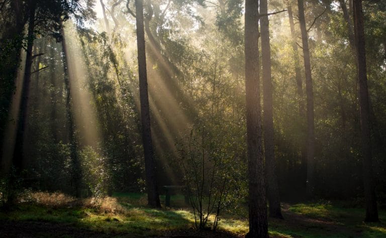 Epic Guide to Cinematic Lighting for Filmmaking | Film Lighting Essentials