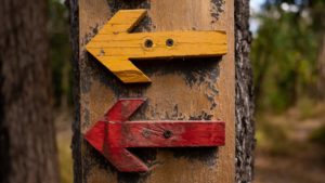 How to Learn Filmmaking? Start with the Fundamentals | Start Filmmaking