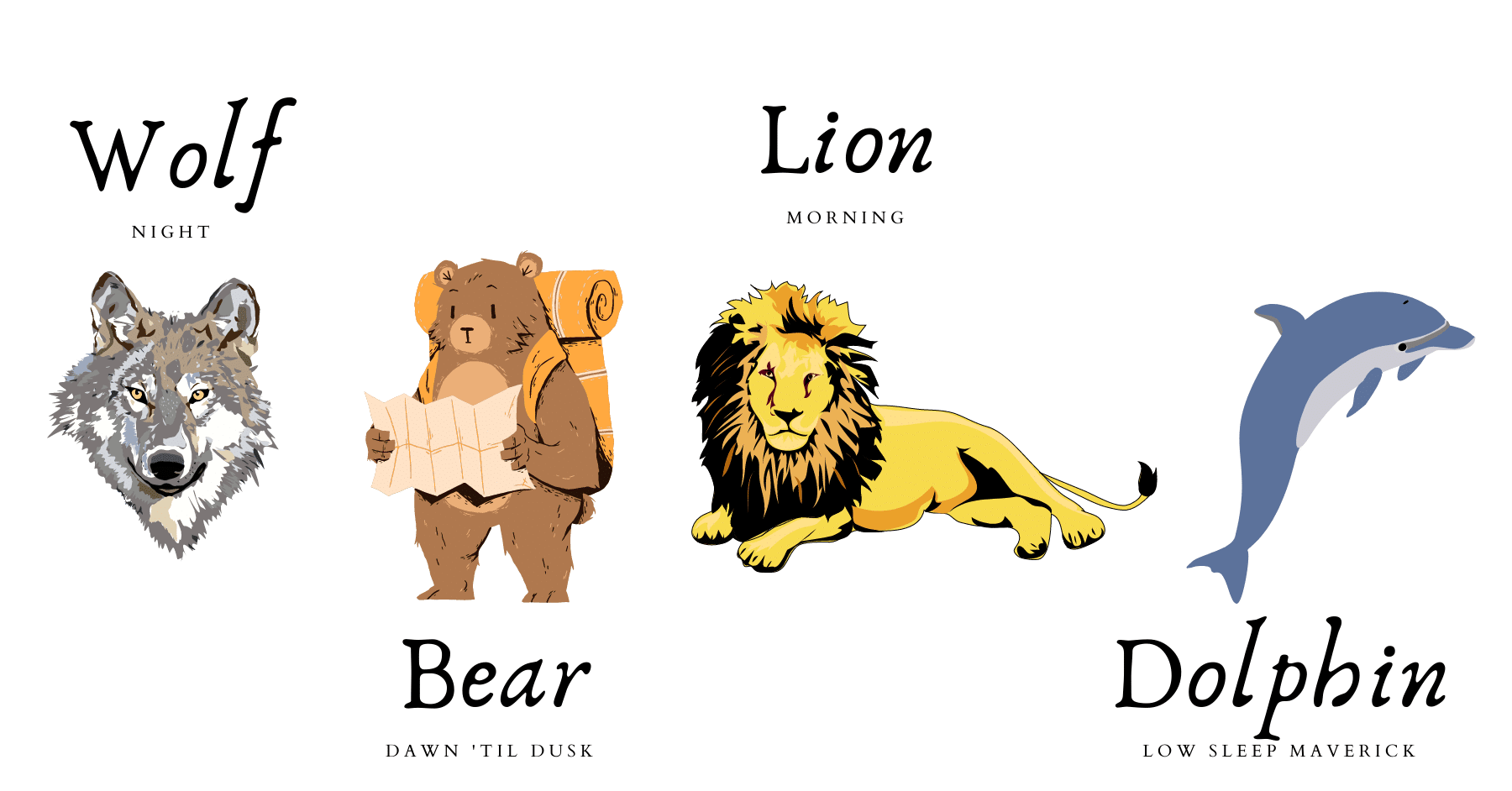 Your Chronotype and How It Can Transform Your Creativity | Chronorhythm