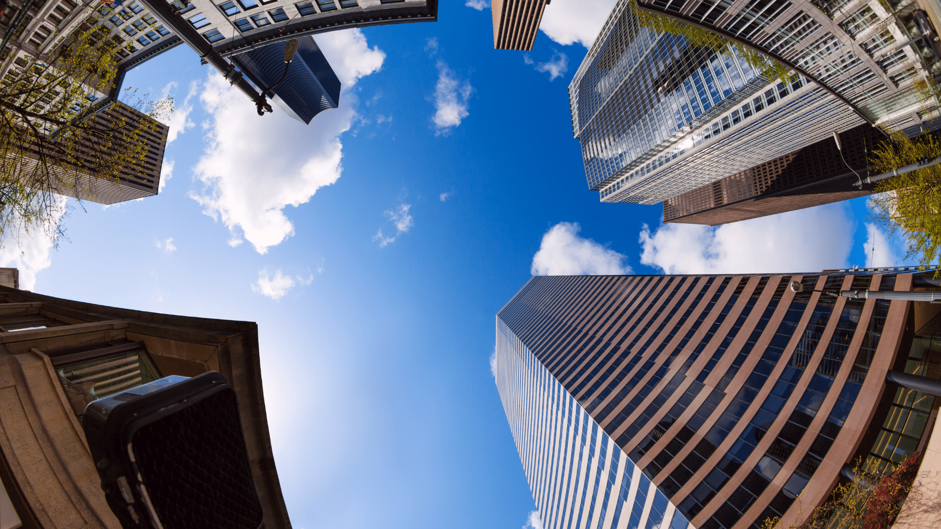 What is a fisheye lens?