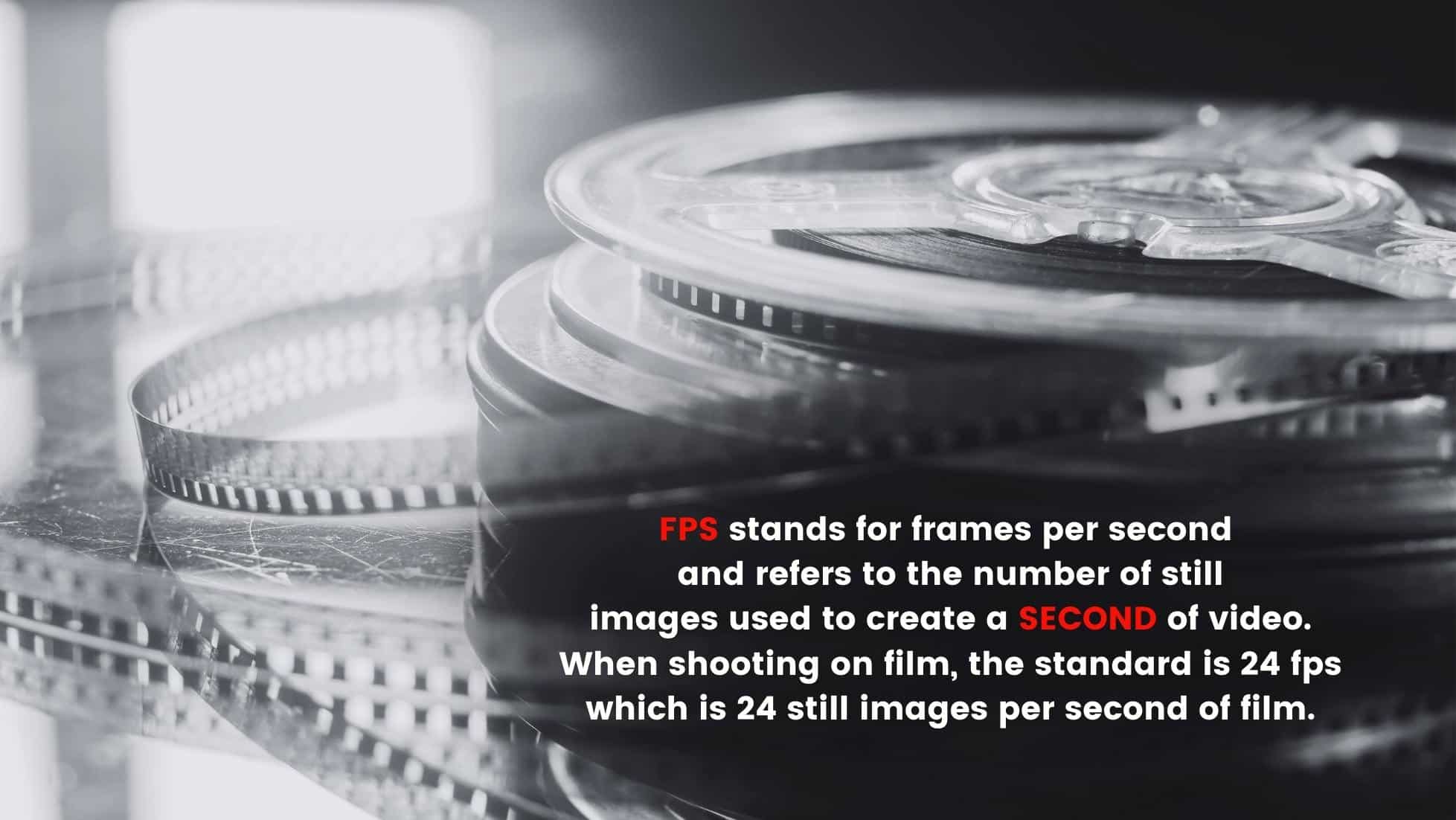 Best Camera for Beginners for Photo and Video - 2023 Top Picks