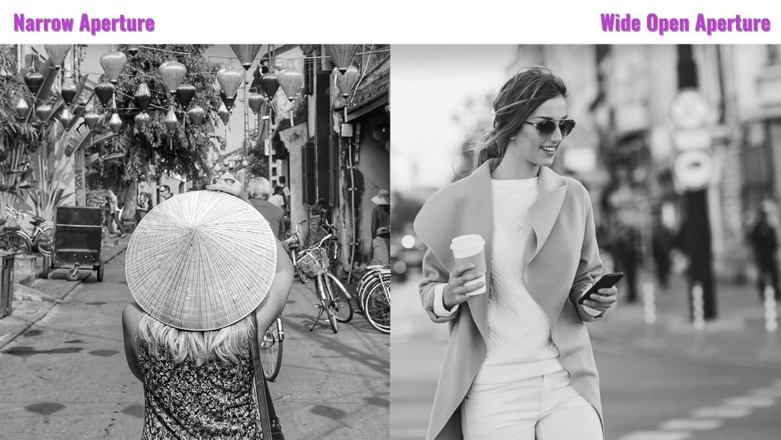 What is a Mirrorless Camera? And is it the BEST camera?