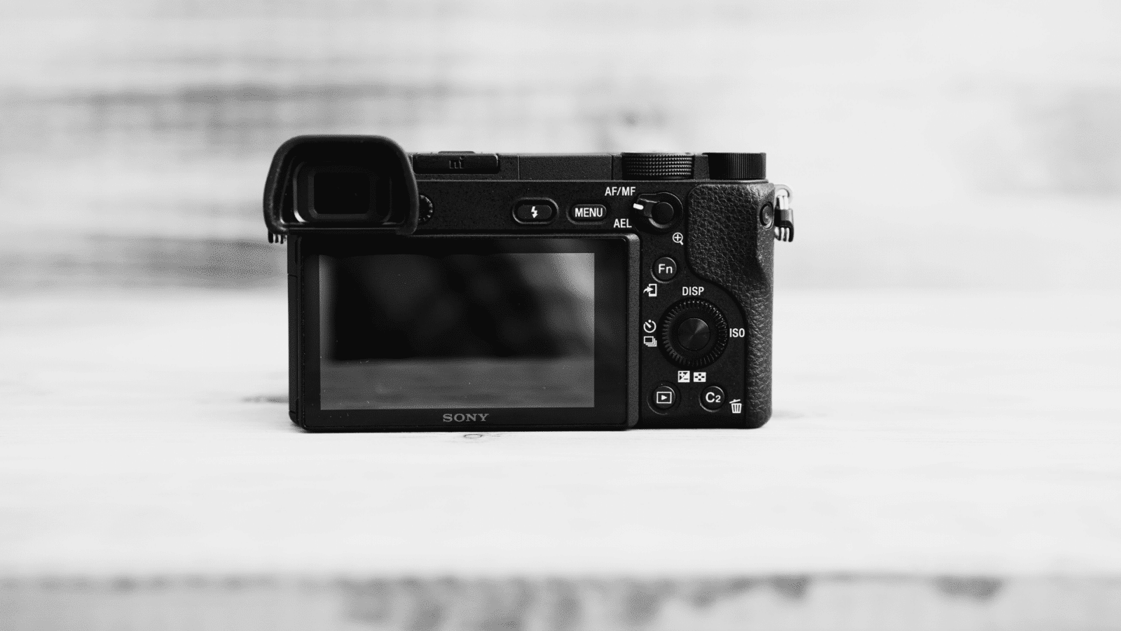What is a Mirrorless Camera? And is it the BEST camera?
